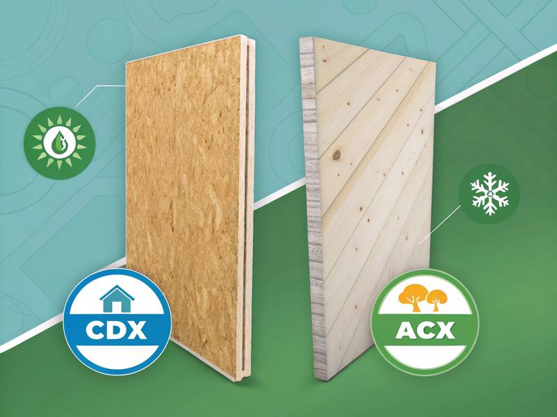 Key Differences Between CDX and ACX Plywood？ - Wholesale Wood Products